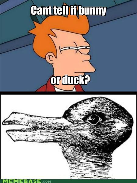 Memebase - rabbit - Page 5 - All Your Memes In Our Base - Funny Memes ...