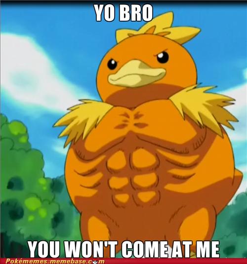 Pokémemes - torchic - Pokemon Memes - Pokémon, Pokémon GO - Cheezburger