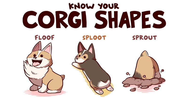 This Handy Guide To Corgi Shapes Will Make You A Doggo Expert ...