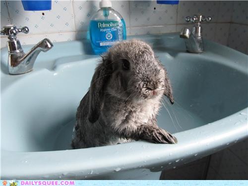 Daily Squee - Cute Animals - Cute Baby Animals - Cute Animal Pictures ...