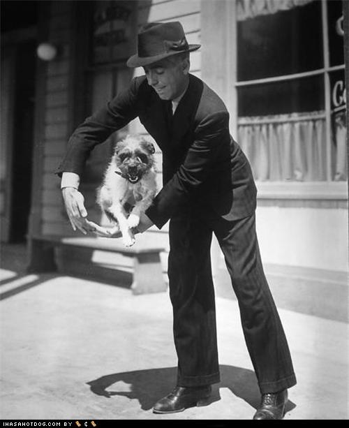 Cary Memes 35 Funny Memes About Mariah Carey's “All I Want For