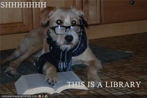 SHHHHHHH - I Has A Hotdog - Dog Pictures - Funny pictures of dogs - Dog ...