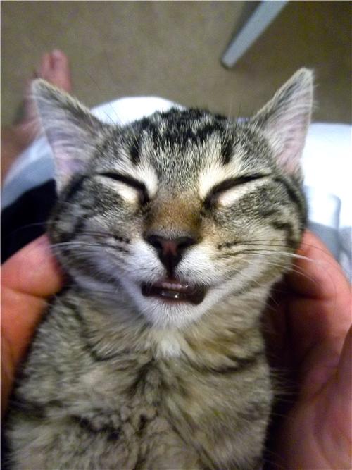 The Daily What - Daily Dose of WHAT?