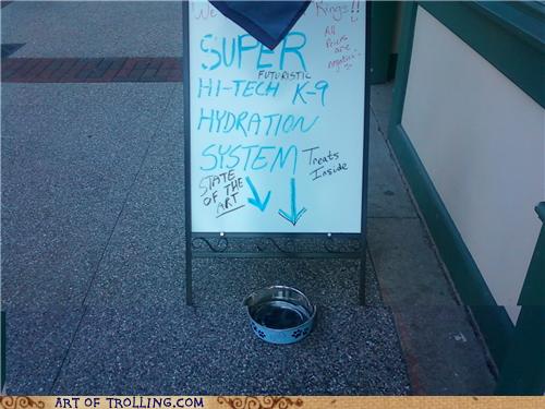 It's So Sleek and Shiny - Art of Trolling - Troll | Trolling | Yahoo ...