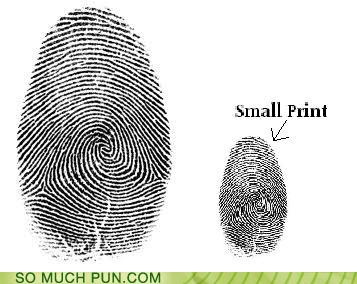 Puns - small - Funny Puns - Pun Pictures - Cheezburger