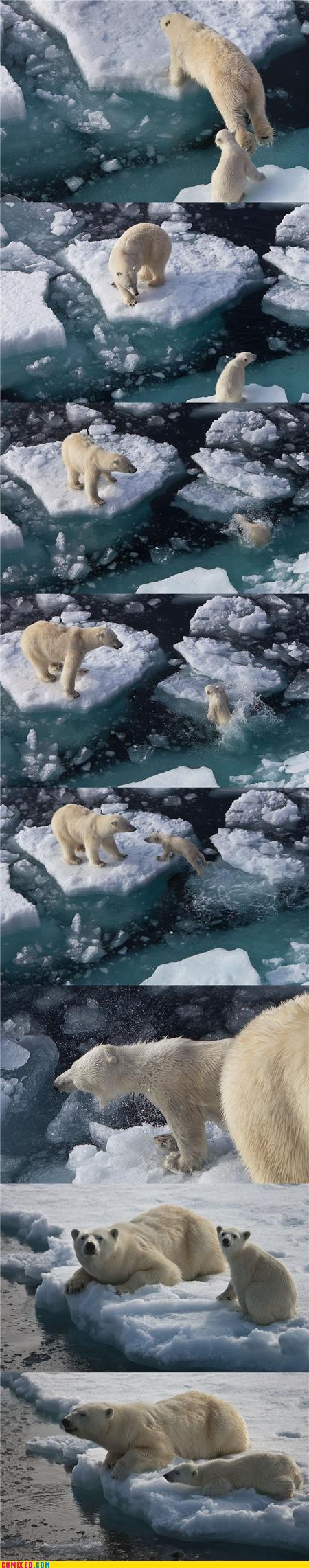 Web Comics - global warming - 4koma comic strip, webcomics, web comics ...