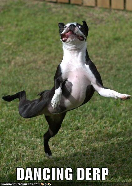 Derp - fly - Derp Face Derps - hurr durr derp face - derp - Cheezburger