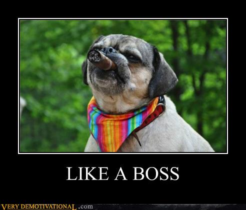 LIKE A BOSS - Very Demotivational - Demotivational Posters | Very ...