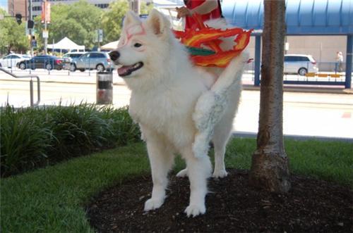 The Daily What - Daily Dose of WHAT?