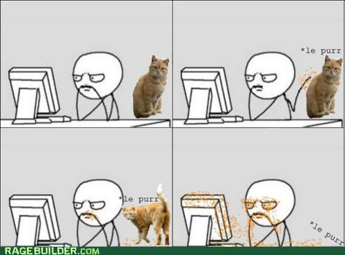 Rage Comics - cat - Page 2 - Rage Comics - rage comics - Cheezburger