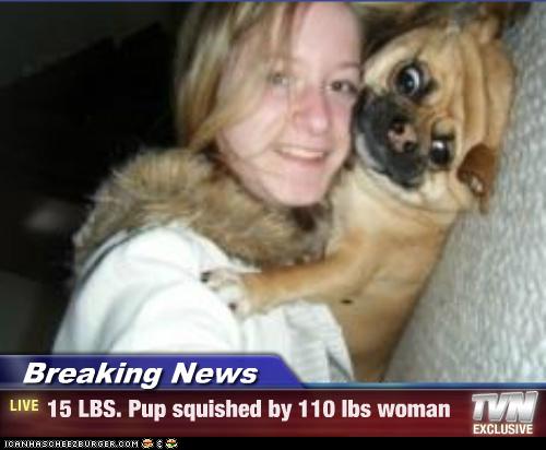 Derp - pug - Derp Face Derps - hurr durr derp face - derp - Cheezburger