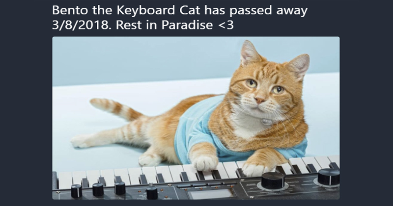 Memebase - keyboard - All Your Memes In Our Base - Funny Memes ...