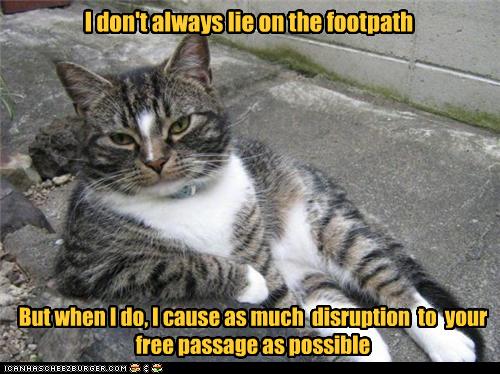 I don't always lie on the footpath - I Can Has Cheezburger?