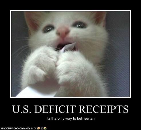 But You Should Never Trust a Cat With Important Documents! - Animal ...