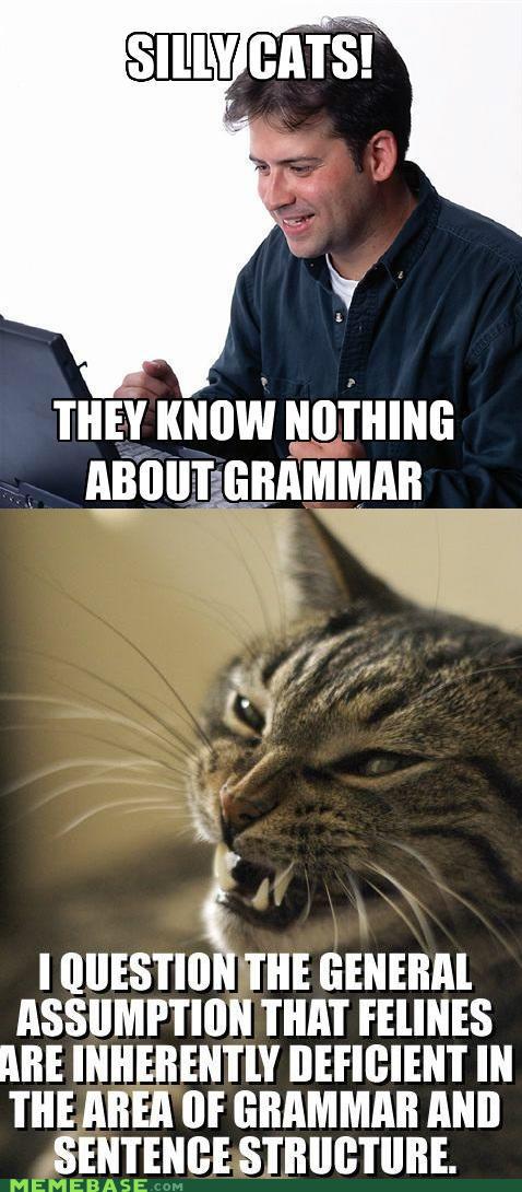 Reframe: One LOLcat Disagrees - Memebase - Funny Memes