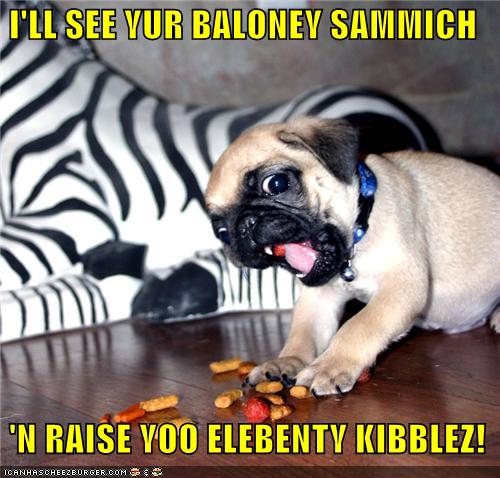 I Can Has Cheezburger? - dog food - Page 2 - Funny Animals Online ...