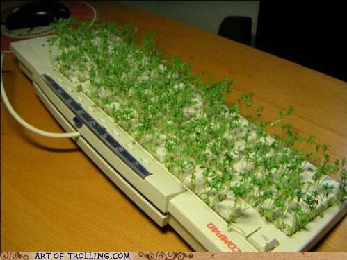 Art of Trolling - keyboard - Troll Tricks and Pranks - Trolling 101 ...