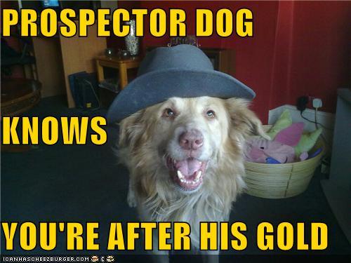PROSPECTOR DOG - I Has A Hotdog - Dog Pictures - Funny pictures of dogs ...