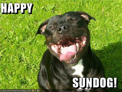 Happy Sundog! - I Has A Hotdog - Dog Pictures - Funny pictures of dogs ...