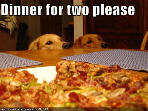 Dinner - I Has A Hotdog - Dog Pictures - Funny pictures of dogs - Dog ...