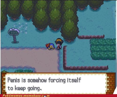 Pokémemes - innuendo - Pokemon Memes - Pokémon, Pokémon GO - Cheezburger