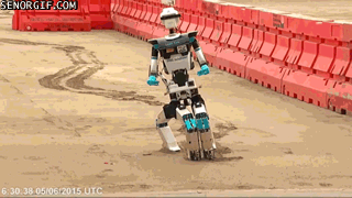These 5 Robots Falling Are Reminder That Maybe Humans Will Win The ...