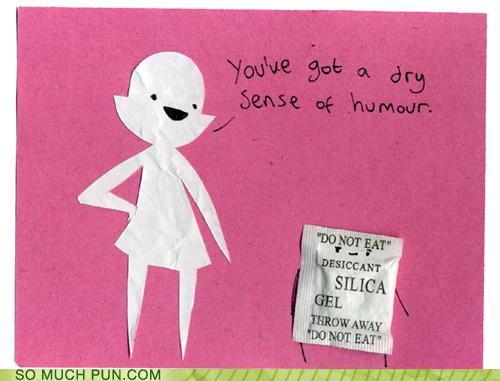 Puns - sense - Funny Puns - Pun Pictures - Cheezburger