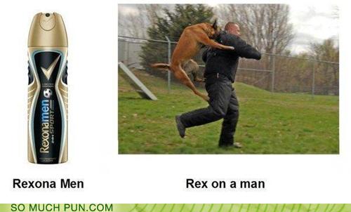 Puns - man - Funny Puns - Pun Pictures - Cheezburger