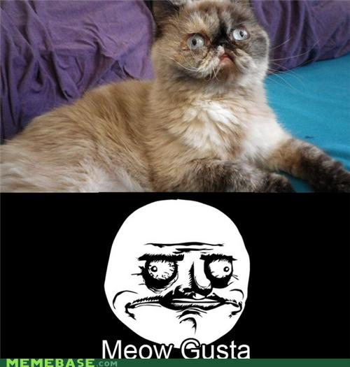 Memebase - animemes - Page 9 - All Your Memes In Our Base - Funny Memes ...