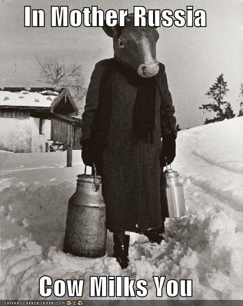 What Was the Special Ingredient in This White Russian, Again? - Animal ...