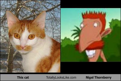 This Cat Totally Looks Like Nigel Thornberry - Totally Looks Like