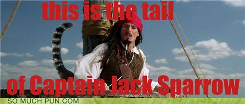 Puns - jack sparrow - Funny Puns - Pun Pictures - Cheezburger