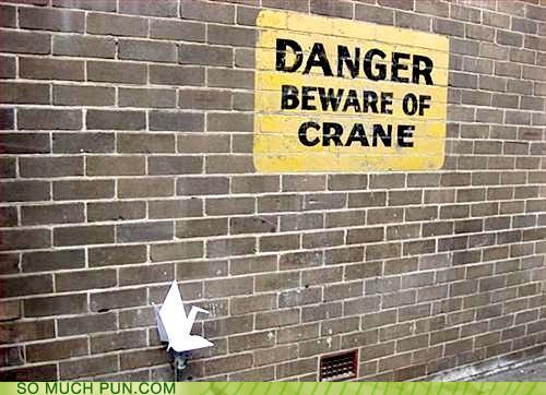 Puns - crane - Funny Puns - Pun Pictures - Cheezburger