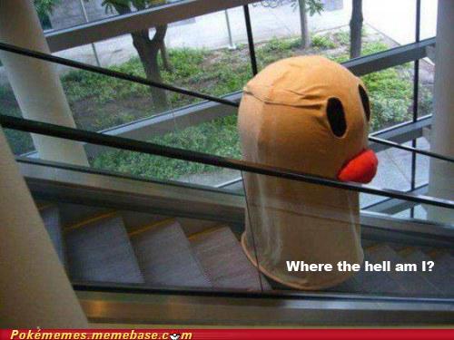 Diglett Wednesday: And How Did I Get Here? - Pokémemes - Pokémon ...