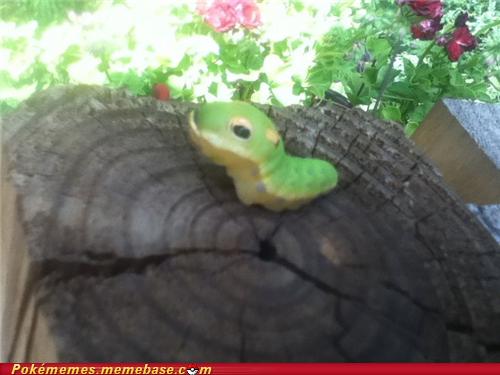 Pokémemes - caterpie - Page 2 - Pokemon Memes - Pokémon, Pokémon GO ...