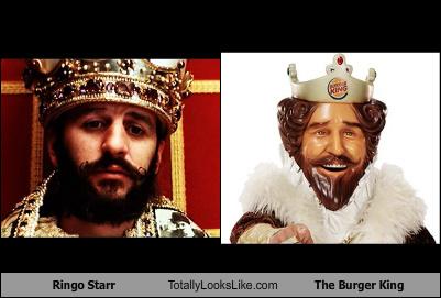 Totally Looks Like - ringo starr - Cheezburger
