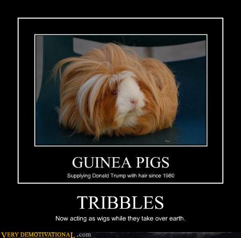 TRIBBLES - Very Demotivational - Demotivational Posters | Very ...
