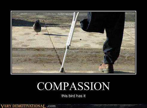 COMPASSION - Very Demotivational - Demotivational Posters | Very ...