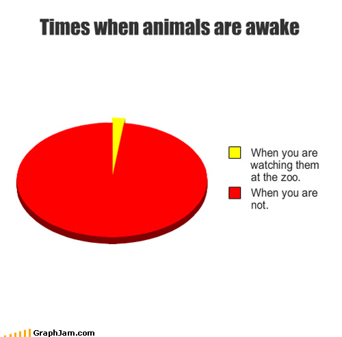 GraphJam - zoo - funny graphs - Cheezburger