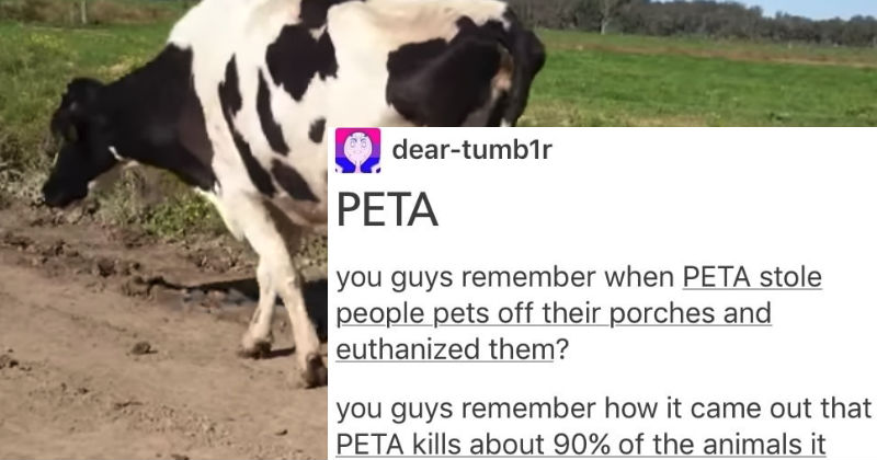 Intense Anti-PETA Rant Is Enough To Make You Hate Them Forever - FAIL ...