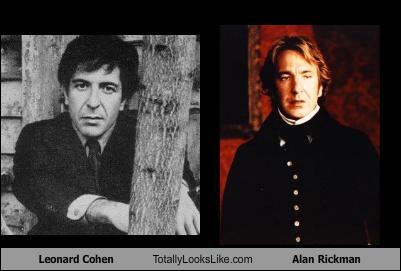 Leonard Cohen Totally Looks Like Alan Rickman - Totally Looks Like