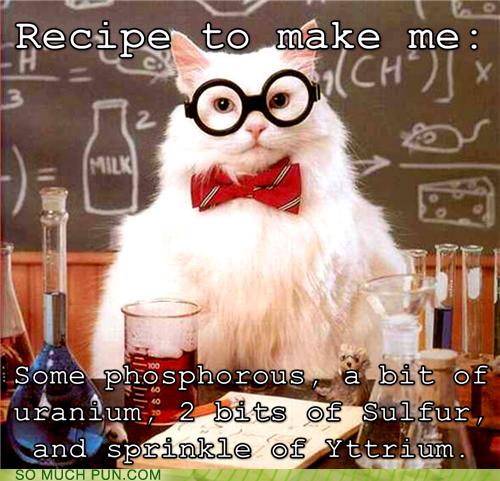 Puns - recipe - Funny Puns - Pun Pictures - Cheezburger