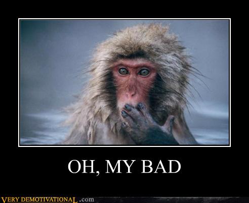 OH, MY BAD - Very Demotivational - Demotivational Posters | Very ...