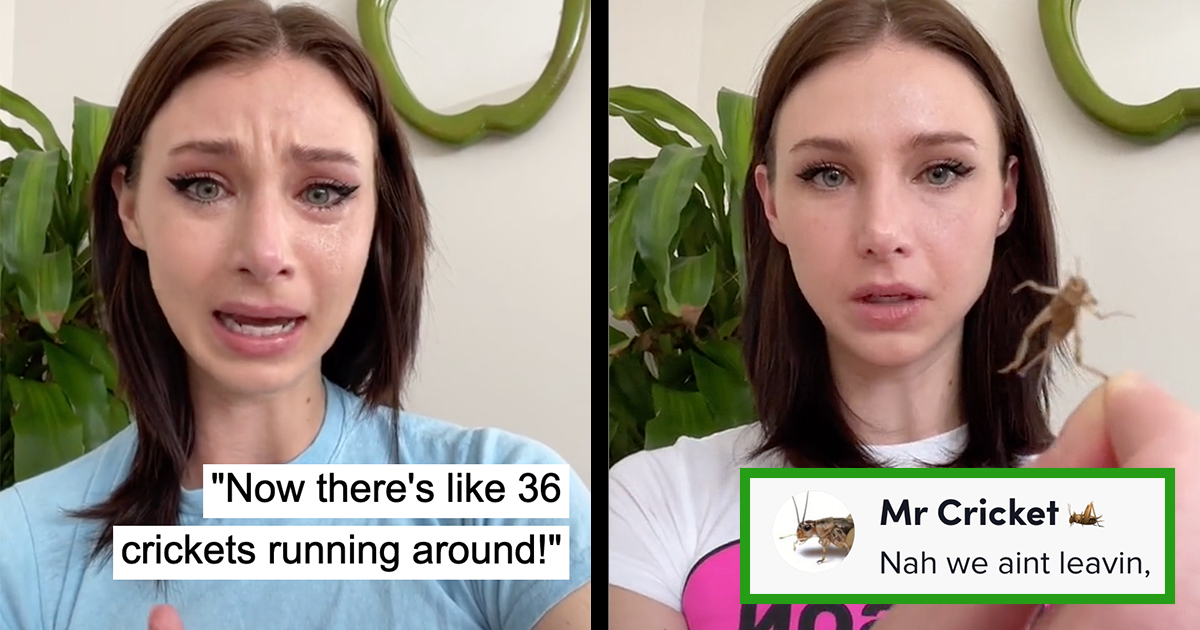 Memebase - jay-lampy - All Your Memes In Our Base - Funny Memes ...