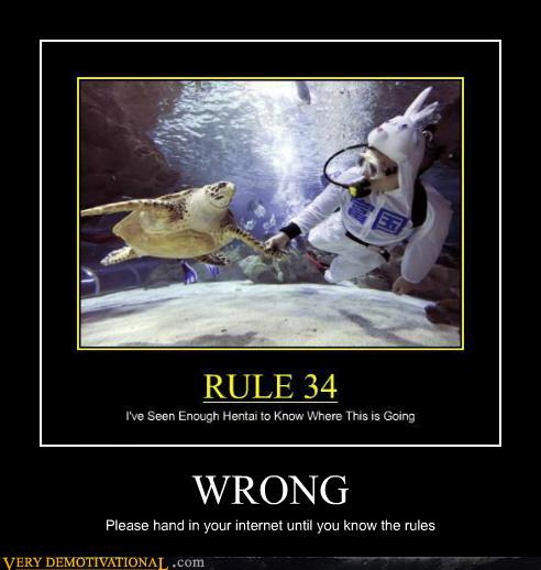 Rules Of The Internet Rule 34
