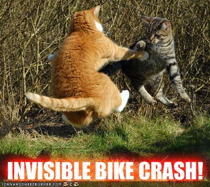 I Can Has Cheezburger?