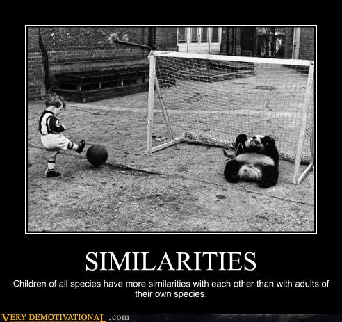 SIMILARITIES - Very Demotivational - Demotivational Posters | Very ...