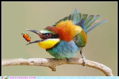 Daily Squee - Cute Animals - Cute Baby Animals - Cute Animal Pictures ...