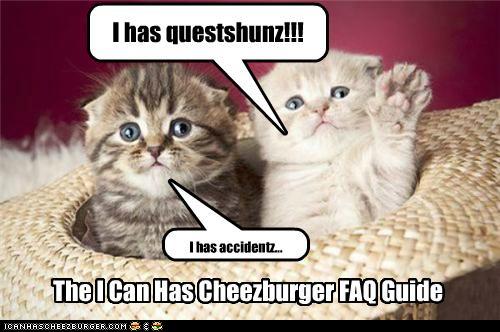 I Can Has Cheezburger?