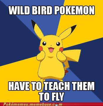 Pokémemes - fly - Pokemon Memes - Pokémon, Pokémon GO - Cheezburger